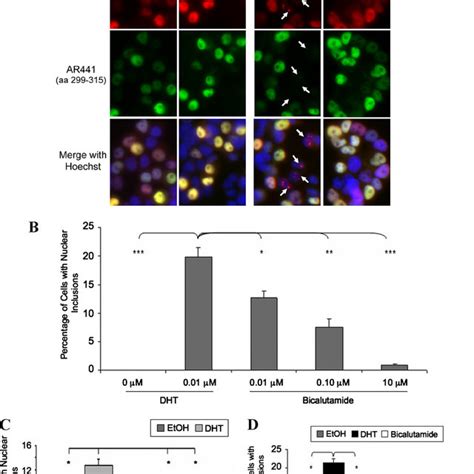 Nadh Staining Reveals Expected Pathology In Adult Edl Of Download Scientific Diagram