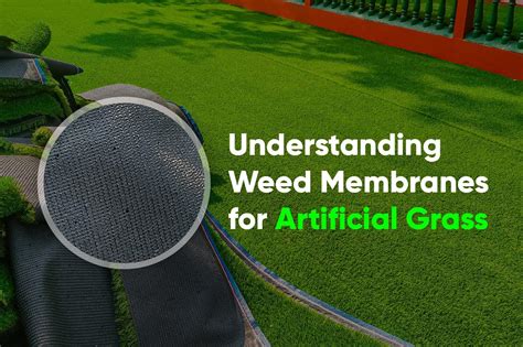 Best Membrane To Use Under Artificial Grass At Brooke Murray Blog