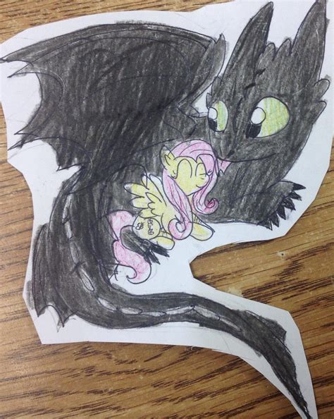 Toothless And Fluttershy By Mintythekitten On Deviantart