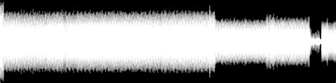 ninbot_20231217 : Free Download, Borrow, and Streaming : Internet Archive