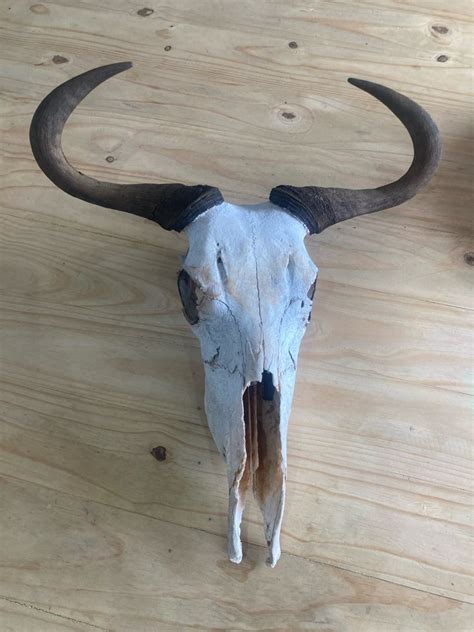 Wayne Louw On Linkedin Thankyou Africa