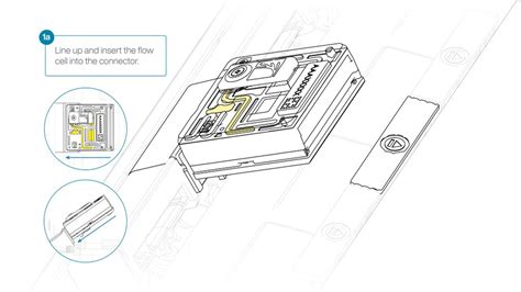 Ligation Sequencing Gdna Multiplex Ligation Sequencing Kit V14 Xl