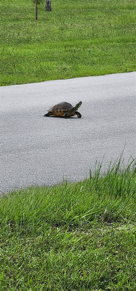 Markham Park Campground United Statess Camp Guide
