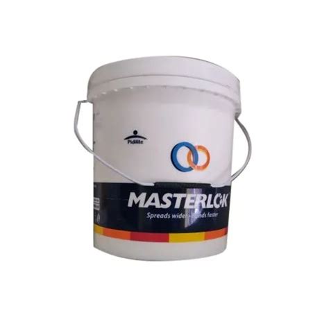 Pidilite Masterlok 5kg