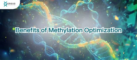Understanding The Dna Methylation Cycle Key Genes Snps And Lifestyle