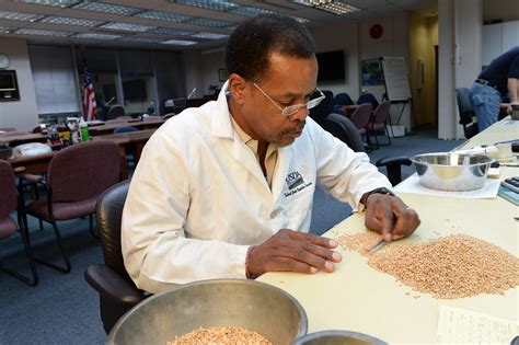 Wheat Grading Plains Grains Inc