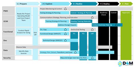 Sap Implementation Roadmap D4m