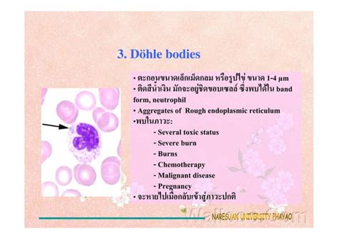 Cdocuments And Settingsuserdesktopmicrosoft Power Point