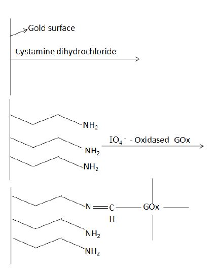 Schematic Of Layer By Layer Self Assembled Monolayer Formation
