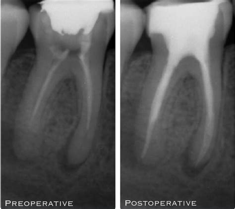 Dr Irfanullah Alwani Posted On Linkedin