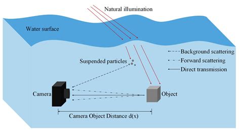 A Lightweight Multi Branch Context Network For Unsupervised Underwater Image Restoration