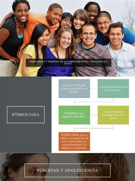 Pubescencia Y Pubertad Descargar Gratis Pdf Pubertad Adolescencia