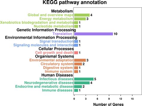 kegg pathways of degs in sex specific transcriptomes of zoea i stage in