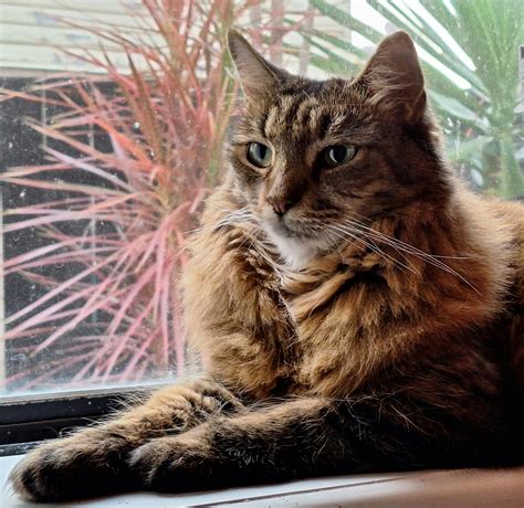 James Ranieri Photography