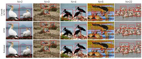 Bird Object Detection Dataset Construction Model Performance