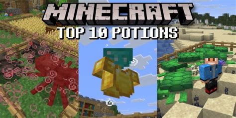 Hytale Wood Types And Saplings Where To Find Every Tree