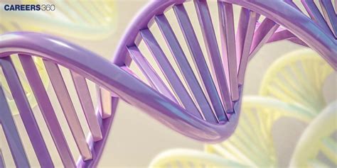 Gene Mapping Definition Overview Types Techniques Topics