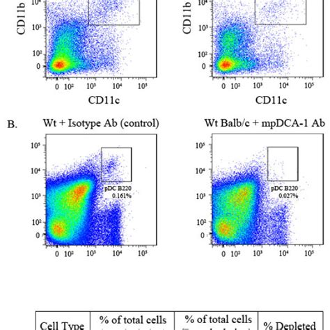 Verification Of Cdc Or Pdc Depletion By Flow Cytometry Lung