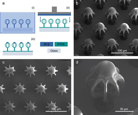 A Chemical Functionalization Process I For The Hydrophobic Coating