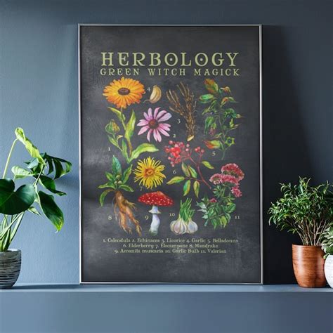 Herbology Etsy