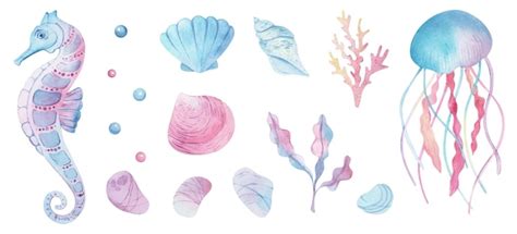 Animais Vetor Do Mar Aquarela Fundo Do Aquário Shell Ilustração Marinha