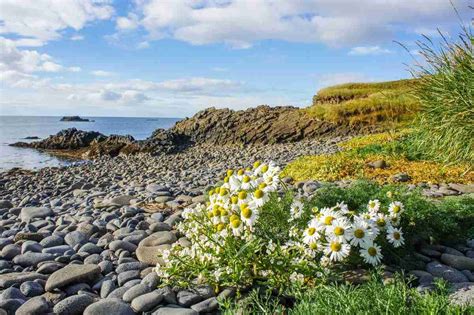 Things To Do In Videy Island Delights Treasures And Activities