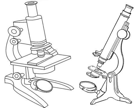 4 Best Microscope Drawing And Coloring Pages Coloring Pages