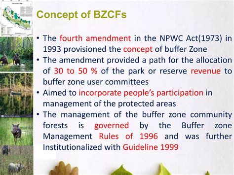 Bufferzone Community Forest Pptx