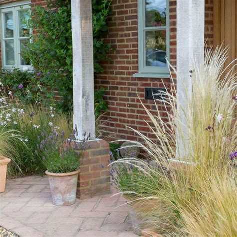 Great Medium Size Grasses Fine Gardening