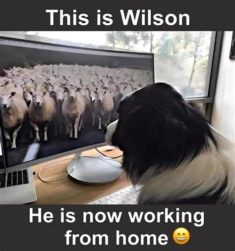 Working From Home Or Remote Working Can Work For All Ian Fearnley Catchpole