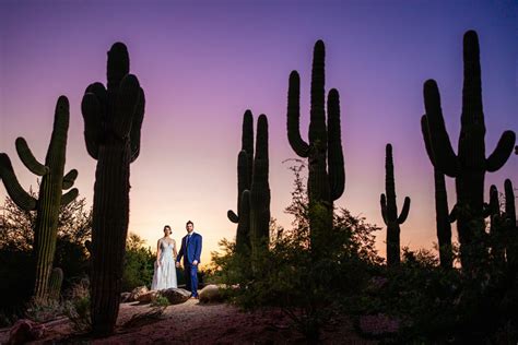 Meet Tony Hoffer Bold Journey Magazine