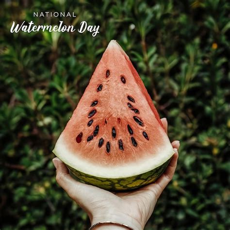 National Watermelon Day Poster Post Banner Illustration Vector Design 3