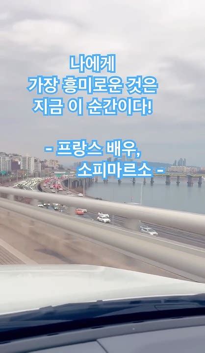 지금 이 순간에 집중해 봅시다 조지크루니 소피마르소 독서 명언 Youtube