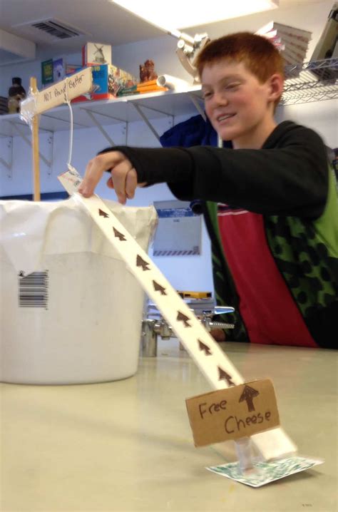 Design Thinking Building A Better Mouse Trap Design Thinking Building A Better Mouse Trap