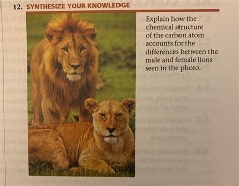Solved 12 Synthesize Your Knowledge Explain How The