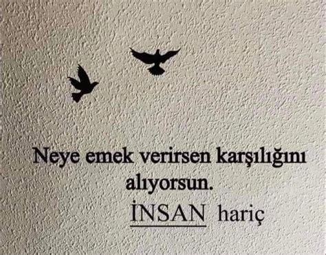 Oğuz Kaya Posted On Linkedin