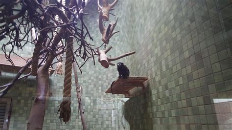 20151018110927 Fabio Capasso Flickr