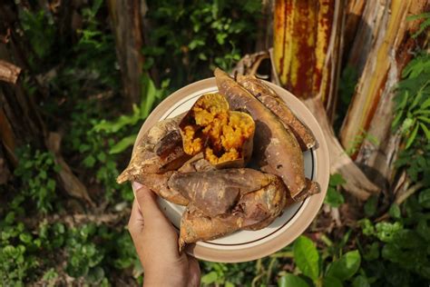 5 Cara Masak Ubi Cilembu Yang Empuk Dan Lembut