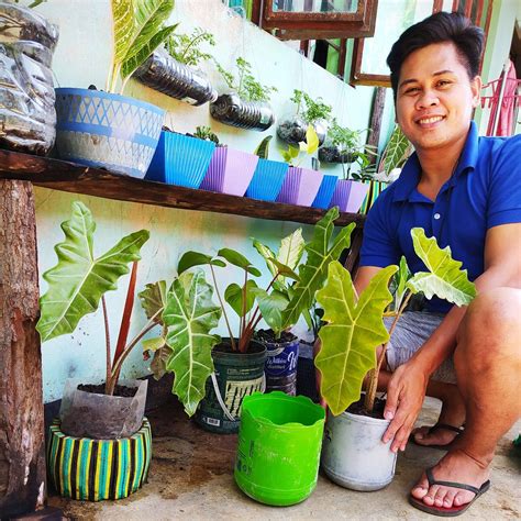 Plantito Seller Meljun Morata