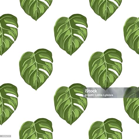 흰색 배경에 열대 원활한 패턴 잎 몬스터 녹색 추상적 인 질감 장식 종려나무 잎에 대한 스톡 벡터 아트 및 기타 이미지 종려나무 잎 하와이 제도 그리기 Istock