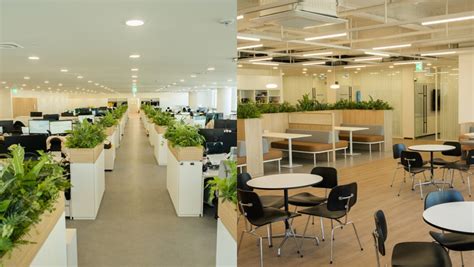 Dalba Global 달바글로벌 채용