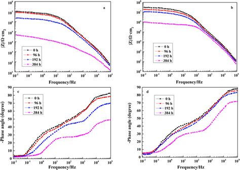 Bode Modulus Plots A Bode Phase Plots C Of EL AR P0 Bode Modulus Download Scientific