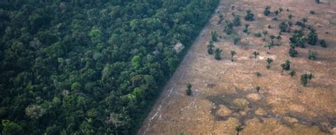 Chilling Report Suggests 1 Out Of 5 Countries Could Be Headed For