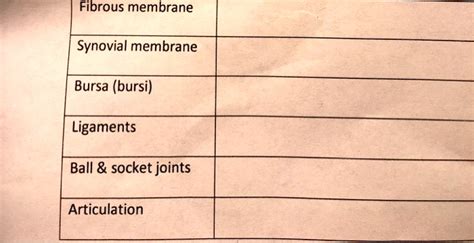 Solved Fibrous Membrane Synovial Membrane Bursa Bursae Ligaments