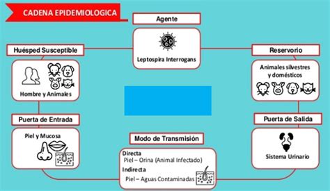 Quiz 3 Aux Enfermeria Noche 23 Abril Quiz