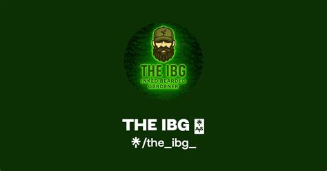 Theibg Instagram Tiktok Linktree