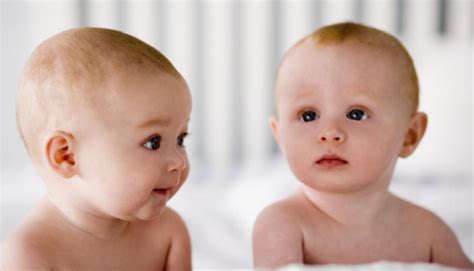 Twin Zygosity Testing Dna Consulta