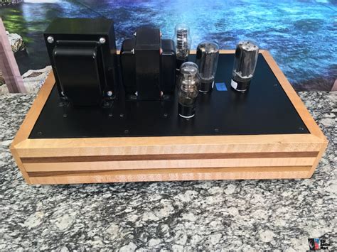 Aric Audio Super 300b Set Dual Chassis Custom Built Amplifier Emission Labs Output Tubes Photo
