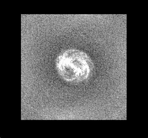 Clean Algorithm Semantic Scholar