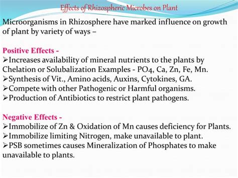 Microbe Plant Interaction Pptx